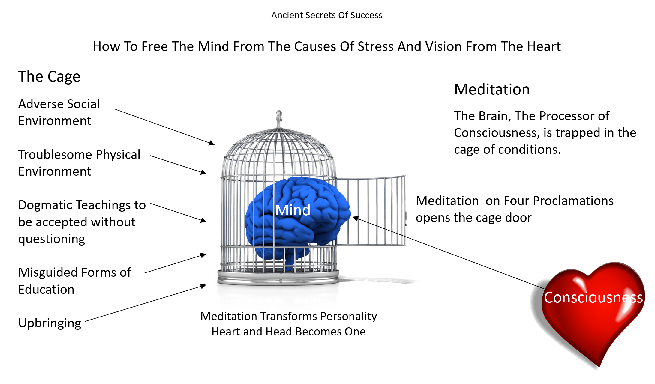 Brain and Cage – Tulshi Sen Consulting